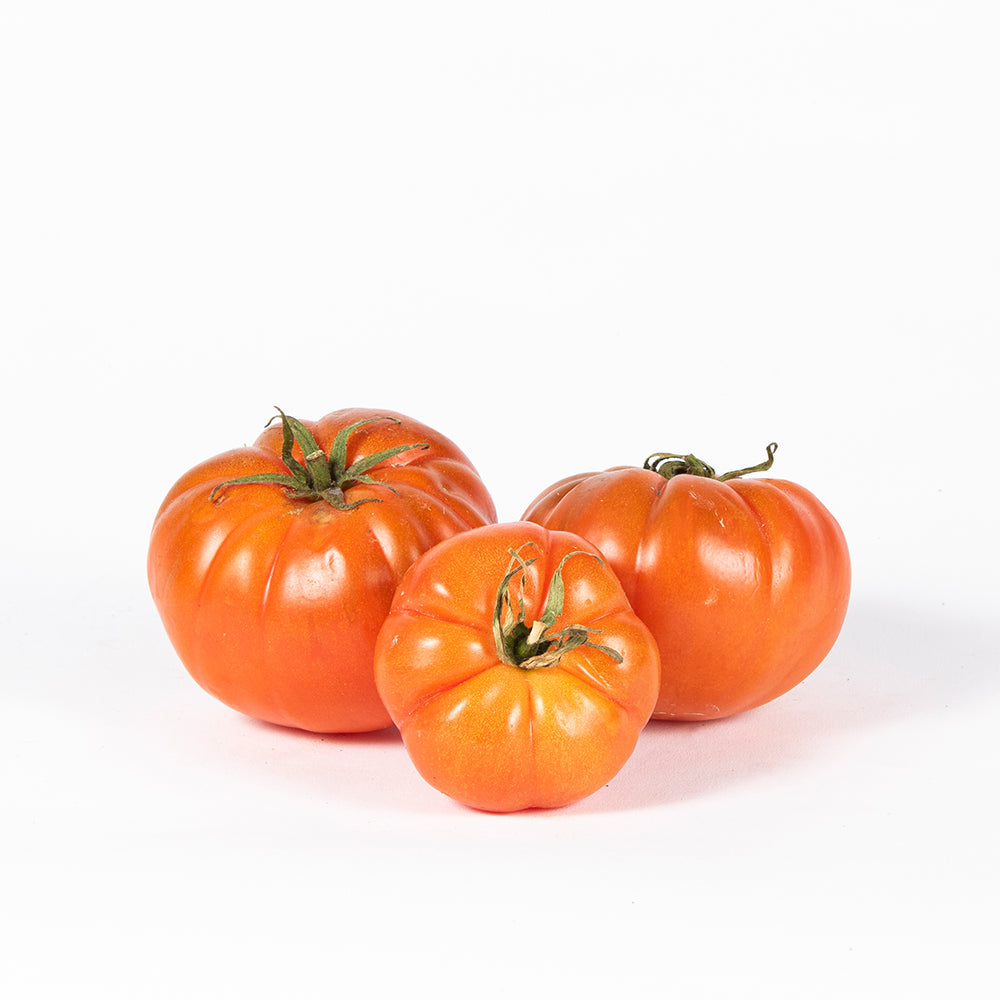 Tomatoes | Fresh Harvest Malta